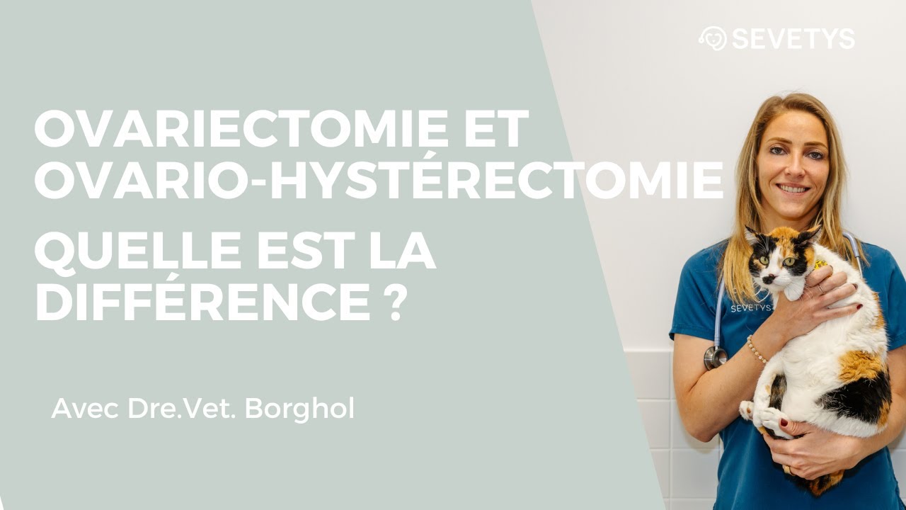 OVARIECTOMIE ET OVARIO-HYSTERRECTOMIE : QUELLE EST LA DIFFERENCE ...