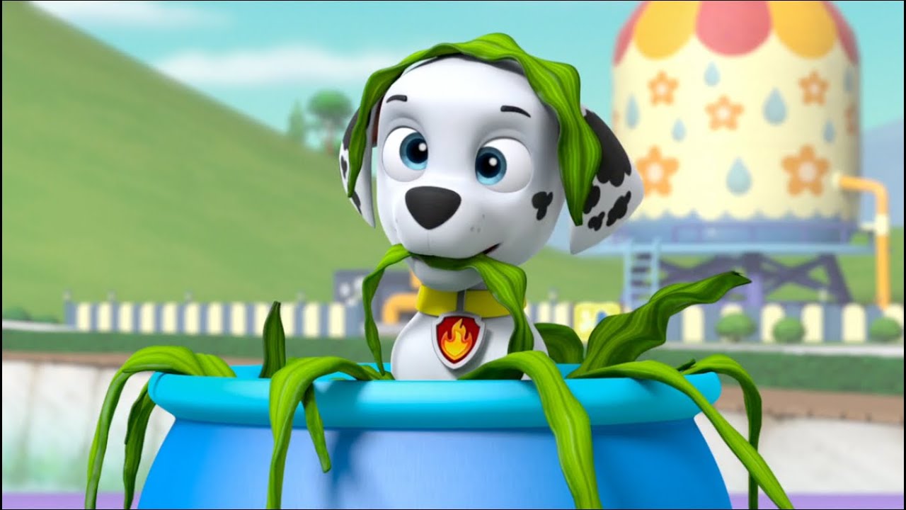 Paw Patrol Marshall’s Wipeout #48 - YouTube