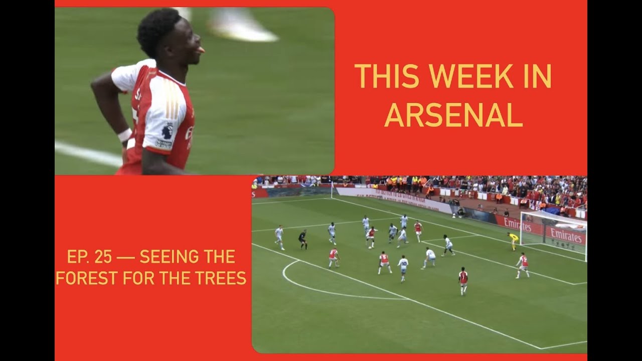 This Week In Arsenal Episode 25 -- Seeing the Forest for the Trees ...