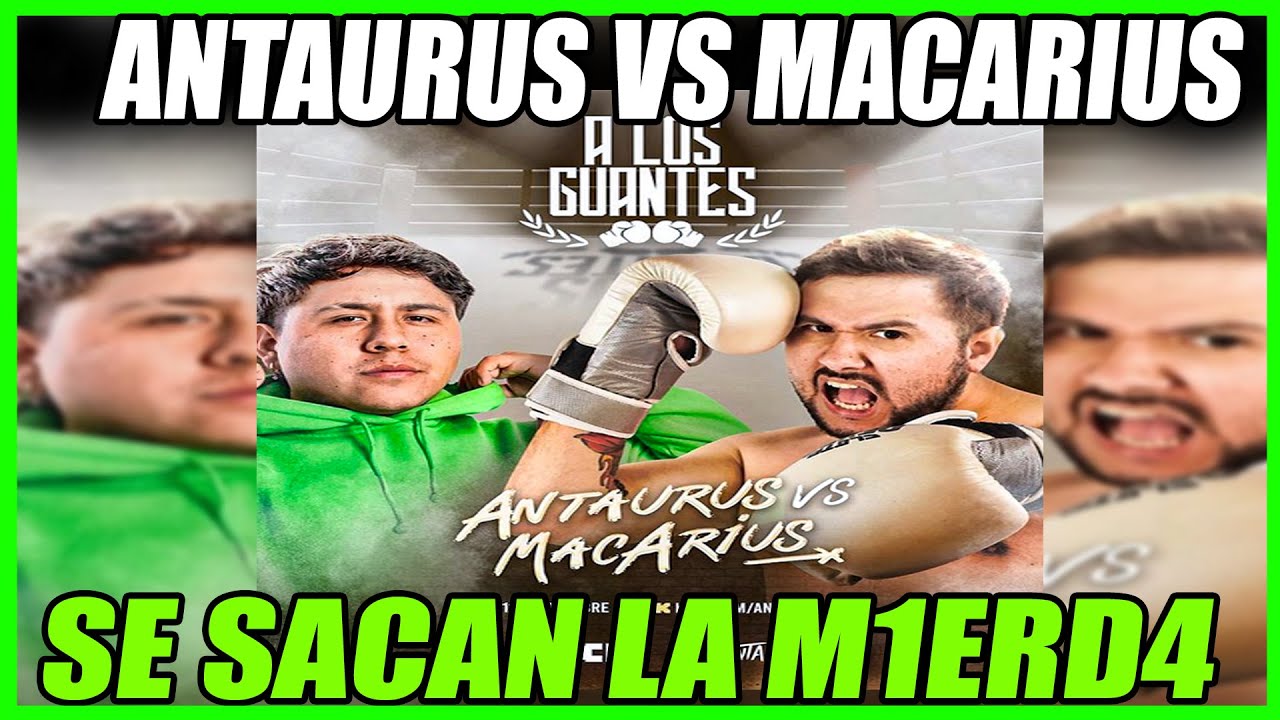 🔥ANTAURUS VS EL MACA 🔥SE SACAN LA M1ERD4/LE PONEN SUS OPENINGS 🤣🤣 - YouTube