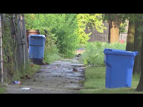 Mutmaßliche menschliche Überreste in Gasse im Süden Chicagos gefunden, so die Polizei