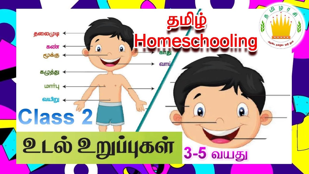 தமிழரசி- Tamil Homeschooling - Class 2 - உடல் உறுப்புகள் | Learn body ...
