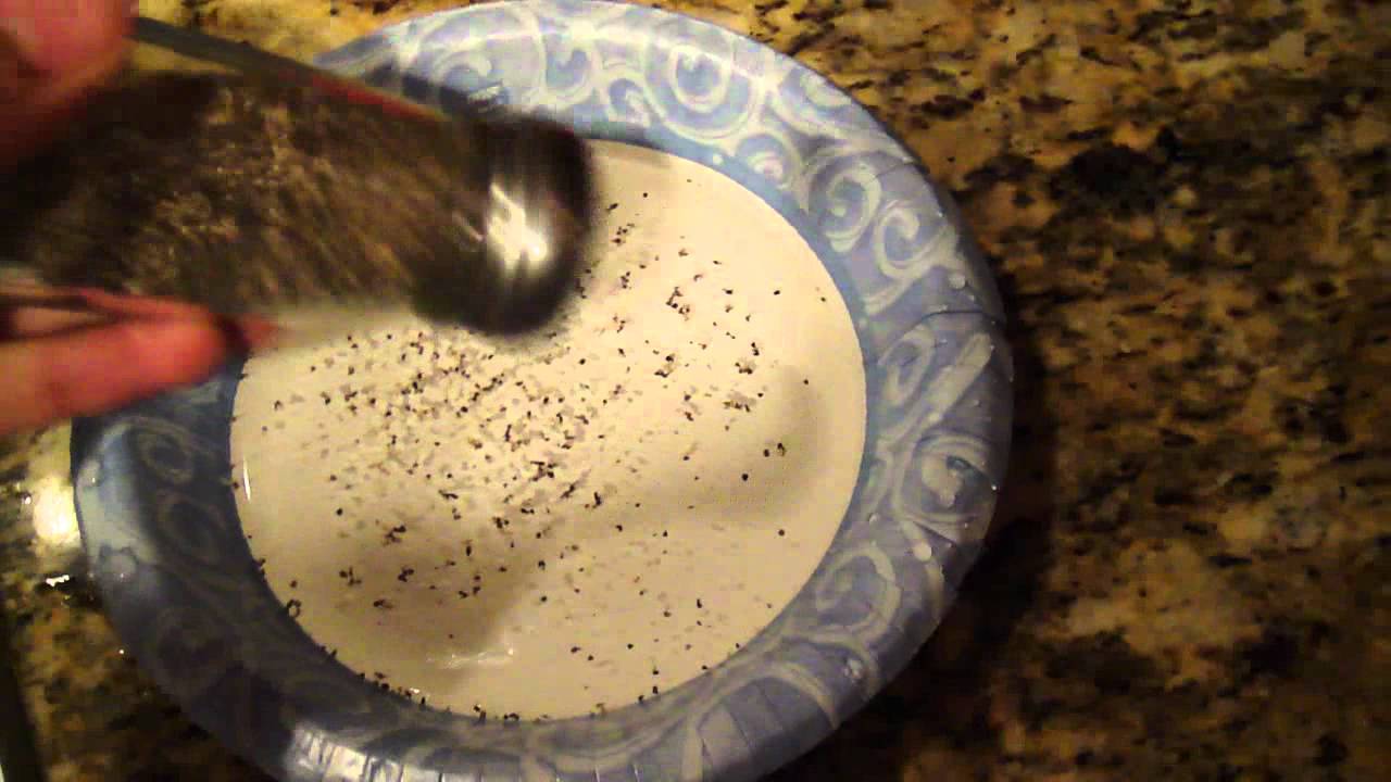 Pepper Water and Dish Soap - YouTube