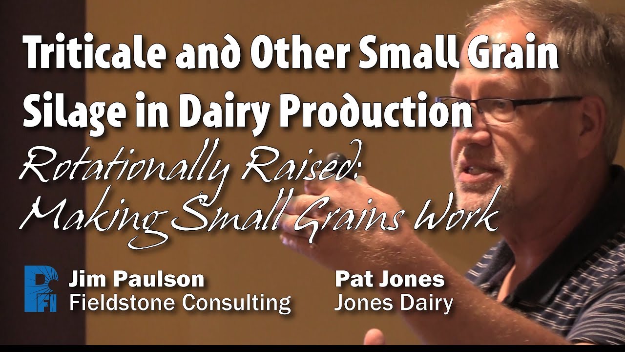 Triticale and Other Small Grain Silage in Dairy Production - Jim ...