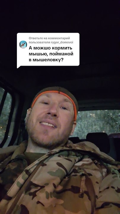 Можно ли кормить хищников ловленными грызунами 🐭🐭🐭 Youtube