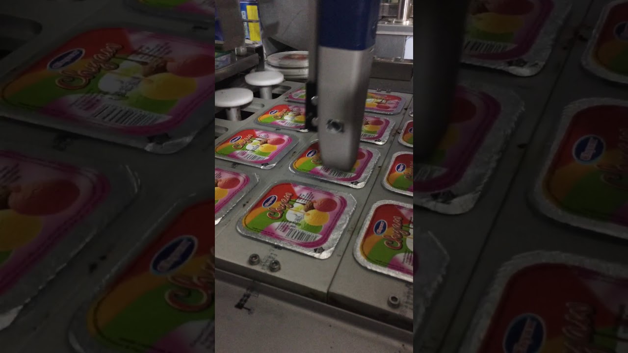 ESF Company Traverse system on A320i Domino inkjet printer in Kurdistan ...