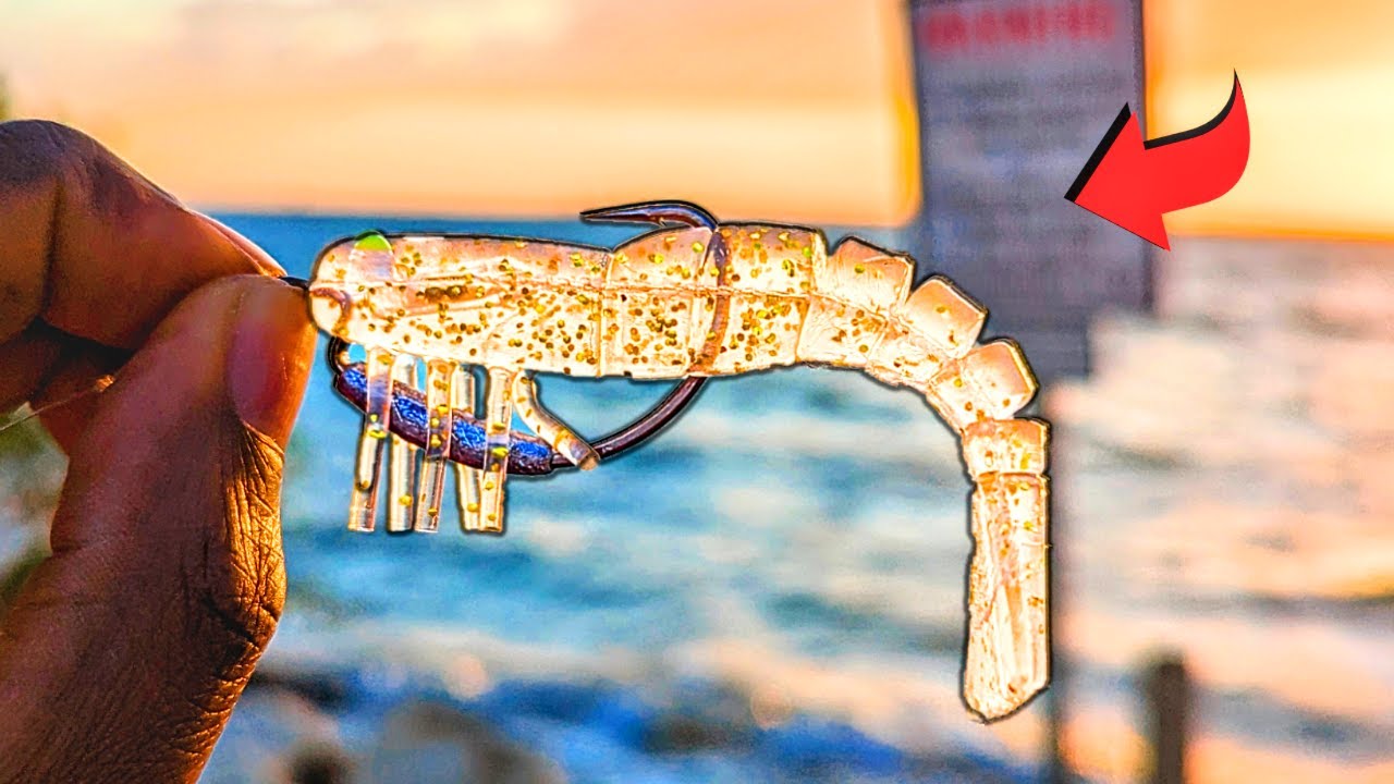 Most LETHAL Fishing Lure You NEED To Be Using! (Picnic Island) - YouTube