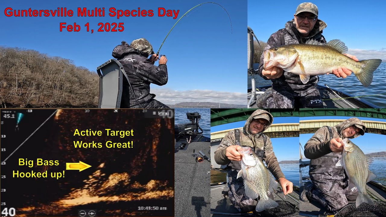 Guntersville Active Target Fishing Bass, White Bass, and Crappie in ...
