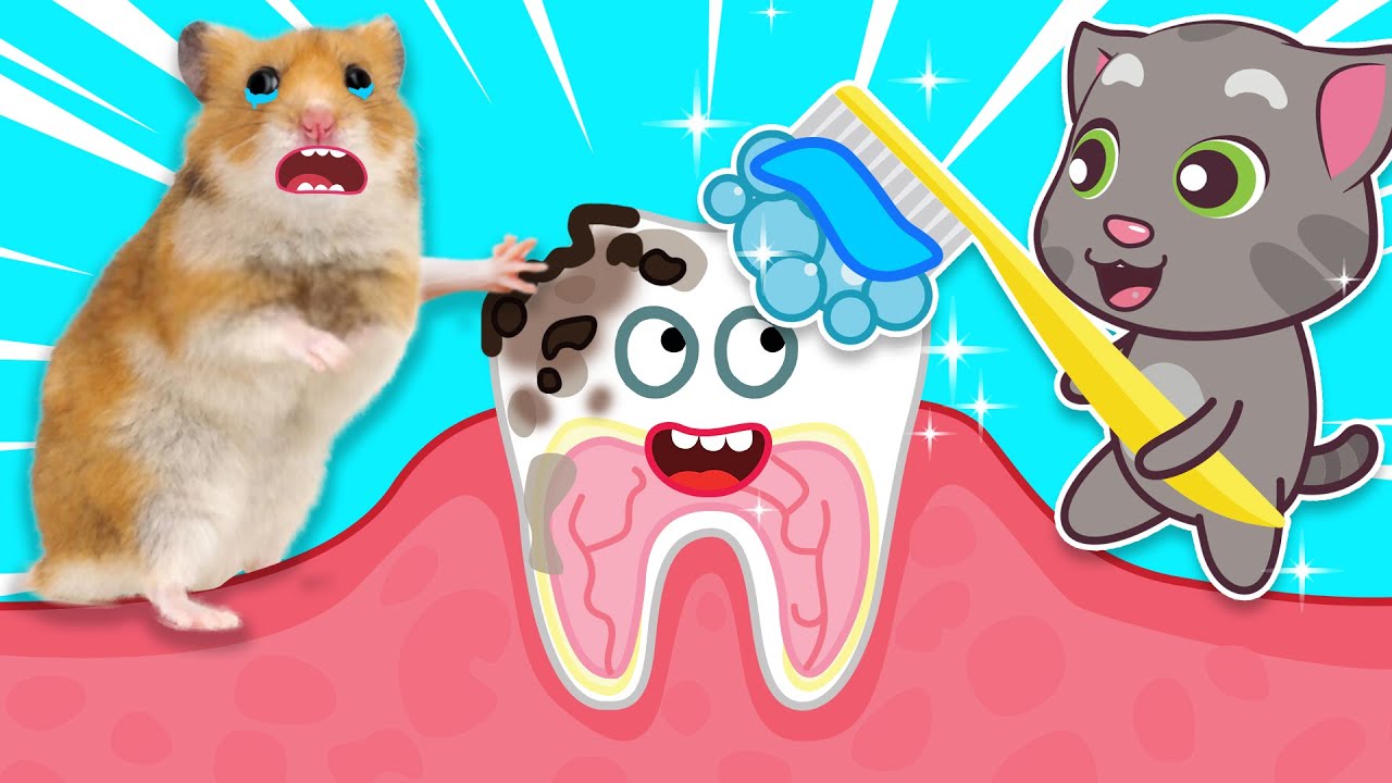 Hamster and Talking Tom brush the shark's teeth | Amazing Hamster - YouTube