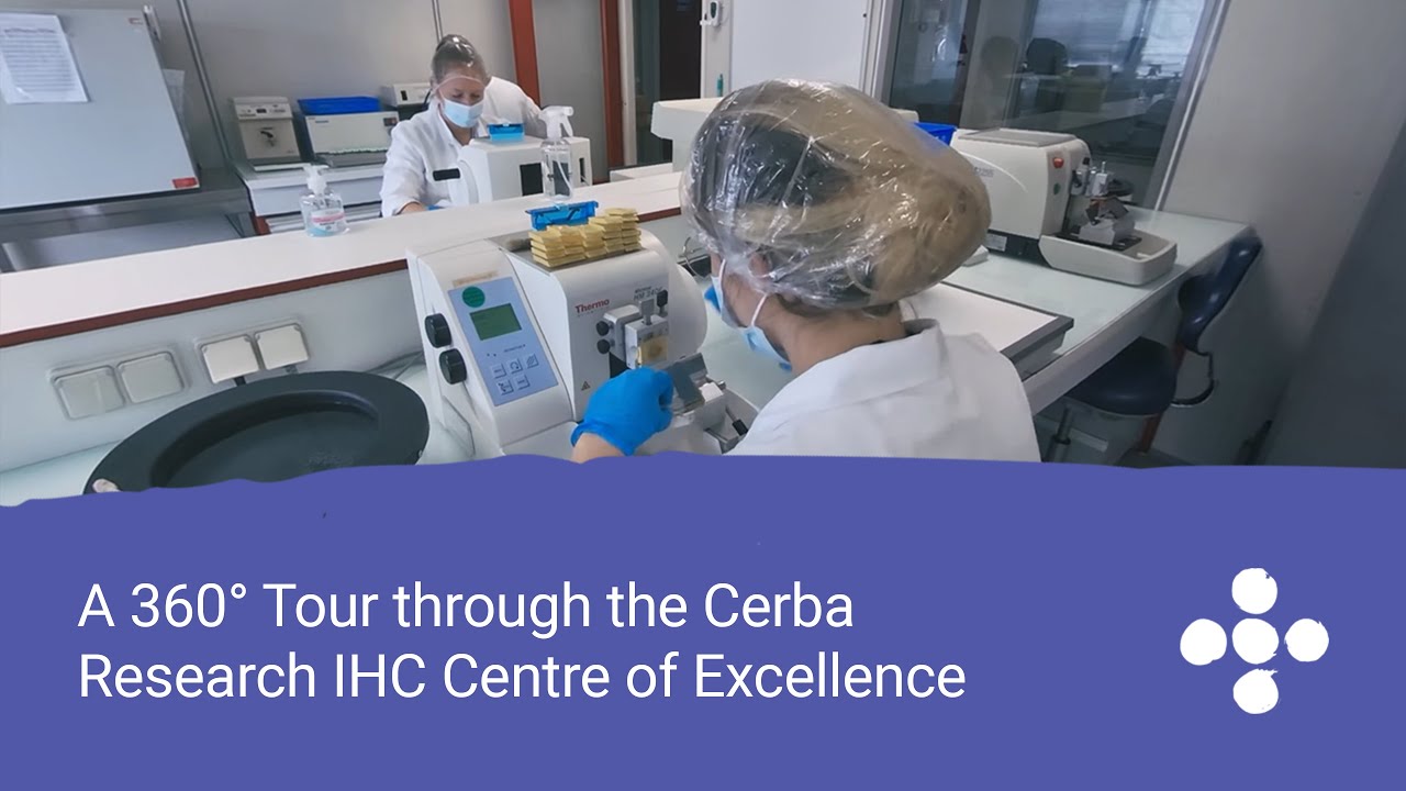 A 360° Tour through the Cerba Research IHC Centre of Excellence - YouTube