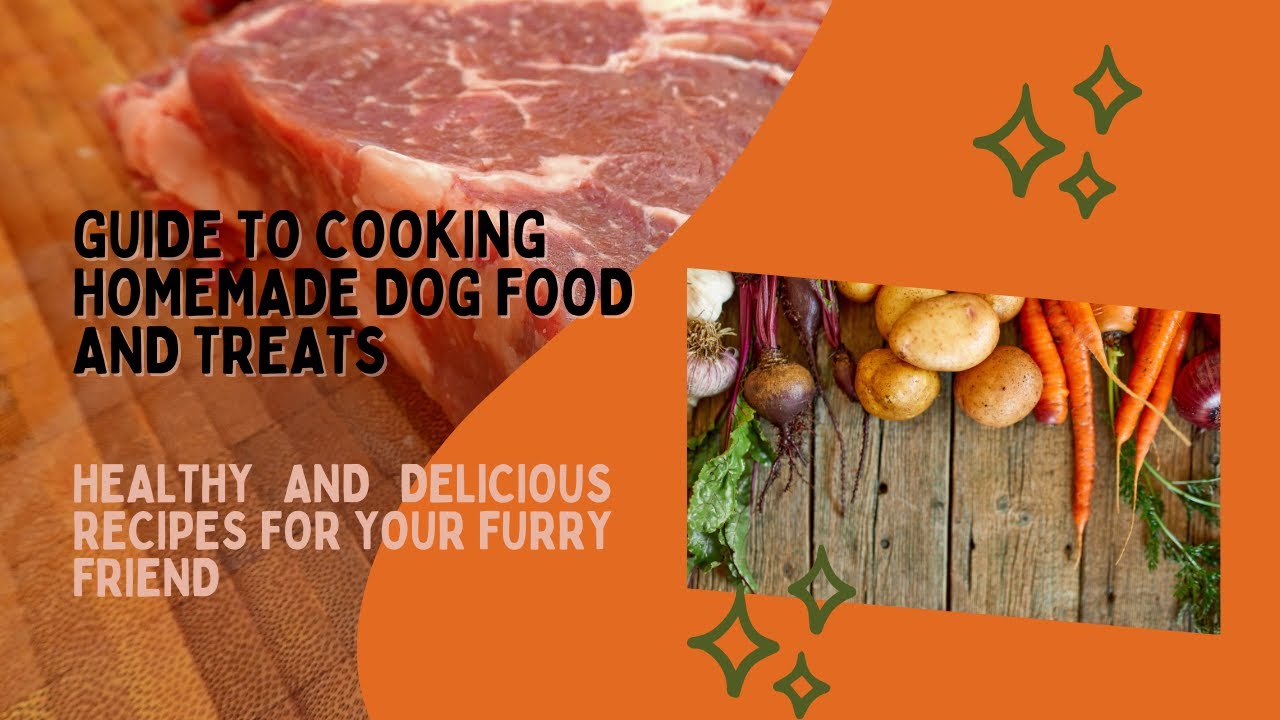 Guide to Cooking Homemade Dog Food and Treats Healthy and Delicious ...