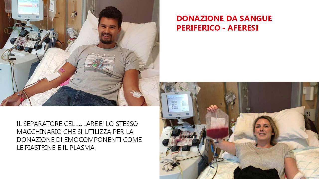 Dare il meglio di noi giovani: la donazione di midollo osseo ...