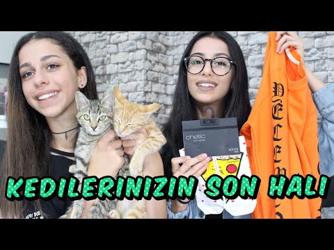 İnstagram Alışverişi (Carpe Butik) KEDİLERİMİZİN SON HALLERİ?
