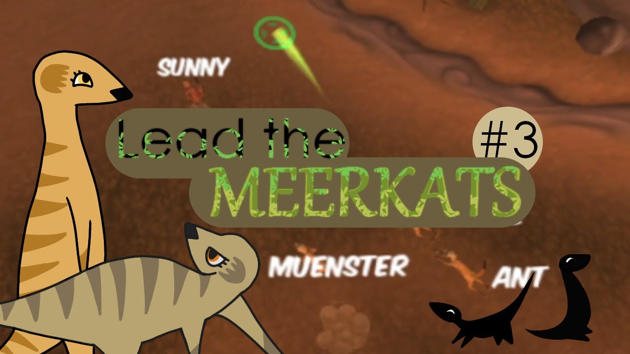 On the Move! - Lead the Meerkats #3 - YouTube