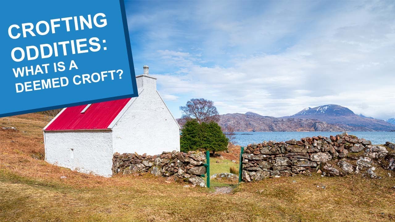 Crofting Oddities - What is a Deemed Croft? - YouTube