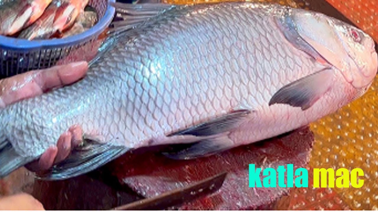 Katla Fish Cutting Live In Fish Market Fish Cutting Skills! মাছের ...