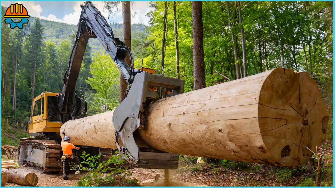 111 Amazing Fastest Chainsaw Cutting Tree Machine Operating At An ...