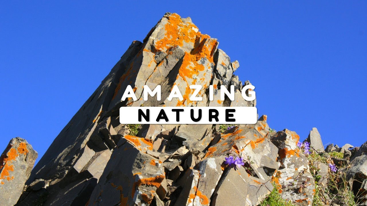 Beautiful Nature Video in Full HD - Spring Season - Gamarvan Village ...