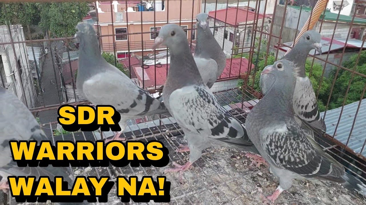 1ST BATCH SOUTH NA TAYO MAGVIEWING! GRABE SUPER HEALTHY NILA! WAG SANA ...