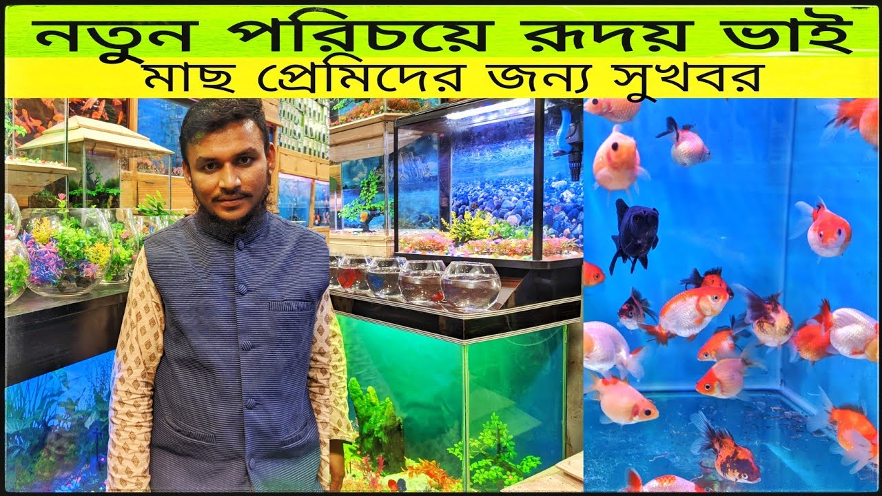 aquarium and fish price in Bangladesh।।🐠 biggest aquarium fish market ...
