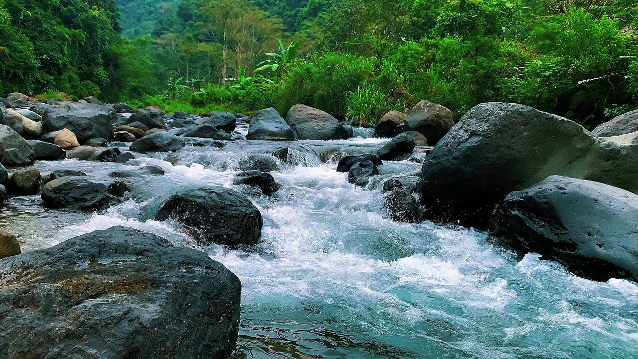 Nature River Serenity – Soft Water Flow & Forest Soundscape for Deep ...