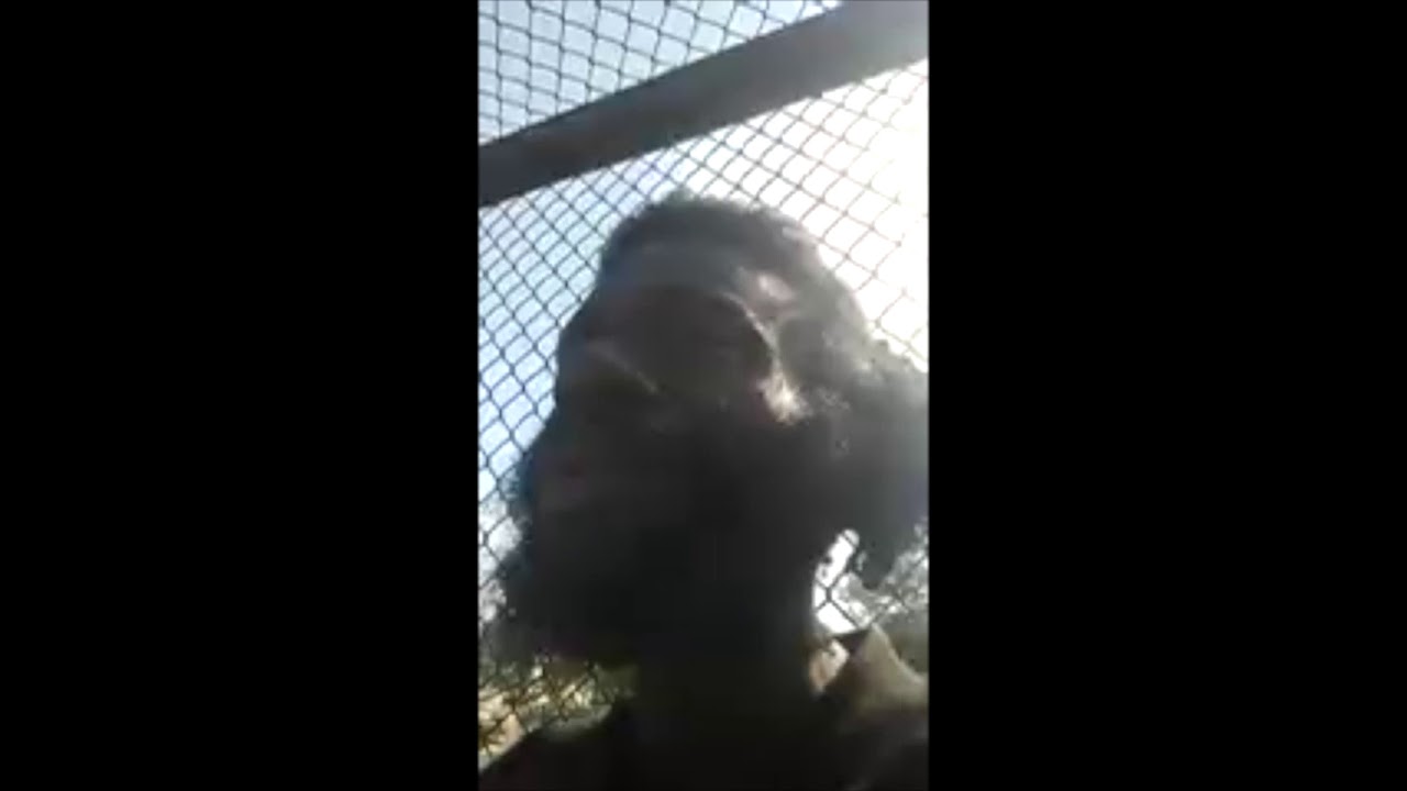 MC Ride transcends sanity. new Death Grips album announcement - YouTube