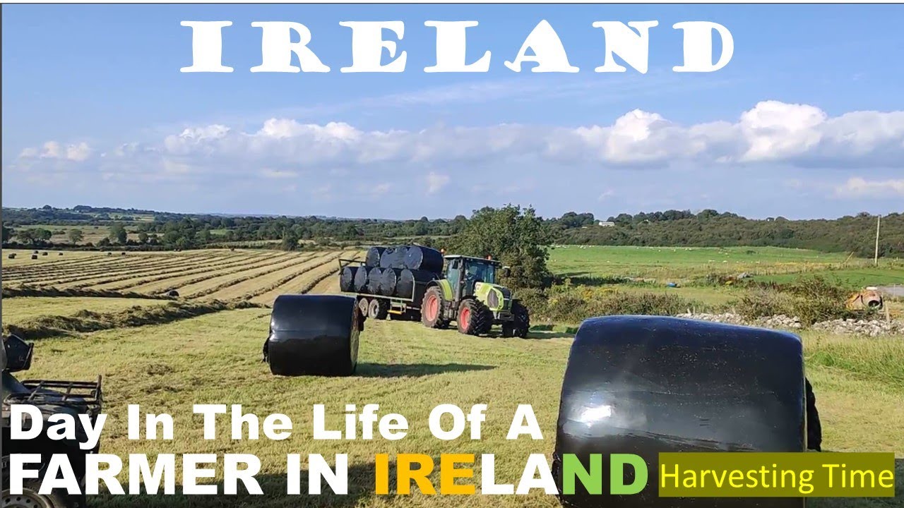Farming in Ireland | आयरलैंड में खेती | Life as an Irish Farmer | Farm ...