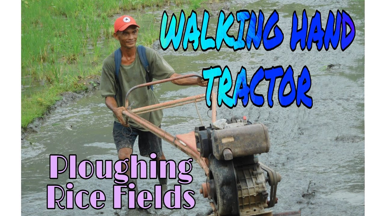 Walking Hand Tractor: Ploughing Rice Fields in Philippines - YouTube