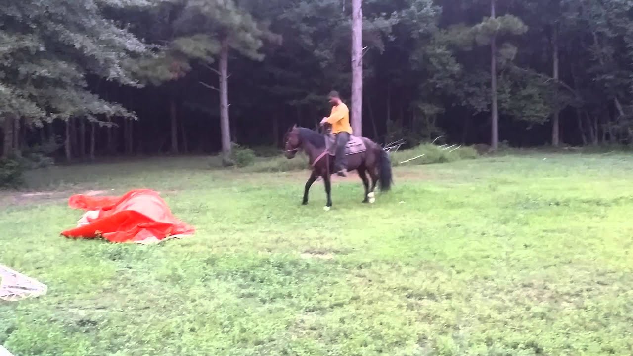 Darrell Gardner's Horsemanship - YouTube