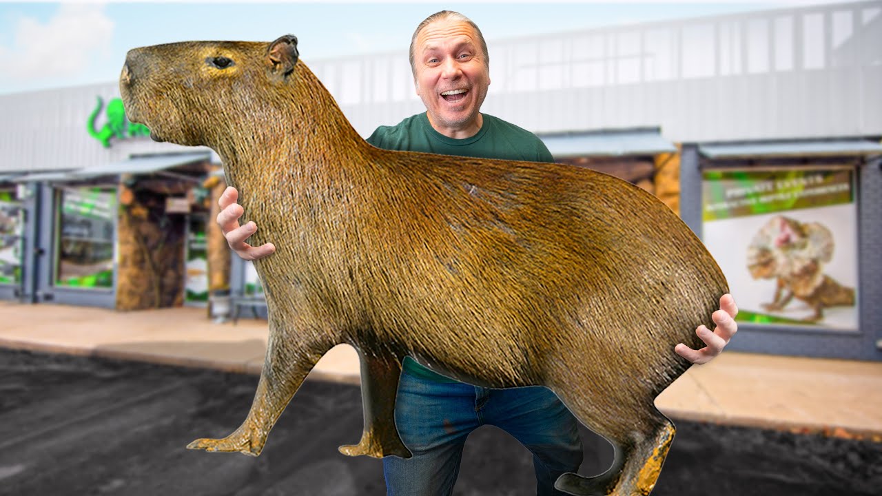 I Bought The Largest Rodent In The World! - YouTube