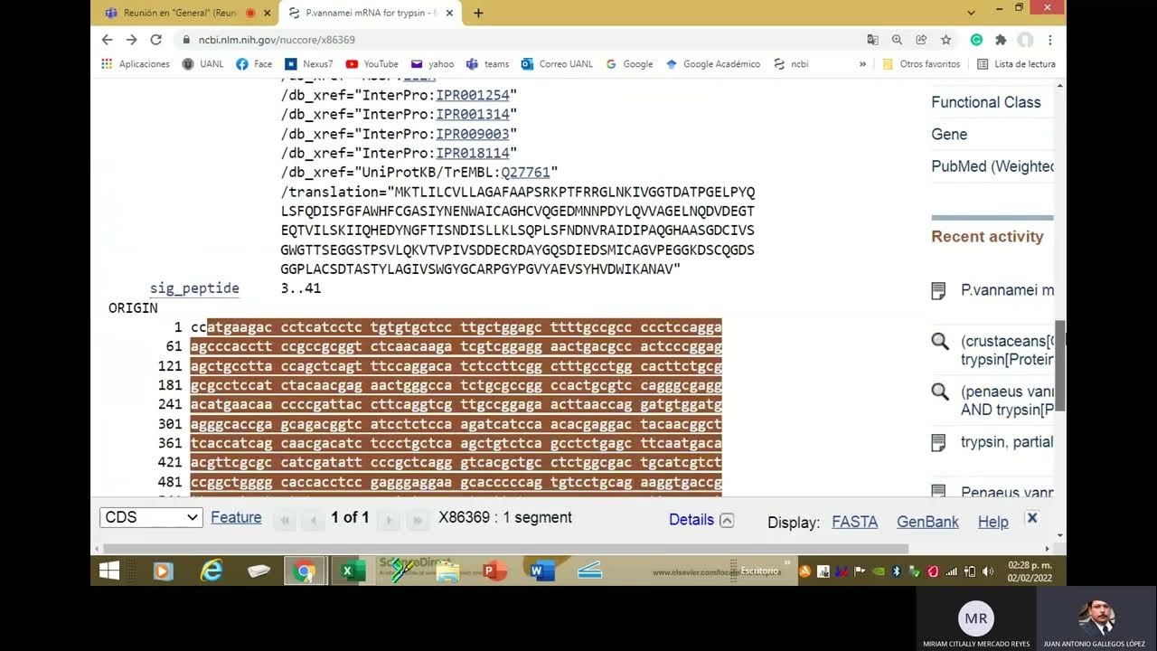 Interpretation of the Genbank file (interpretación del archivo Genbank) - YouTube