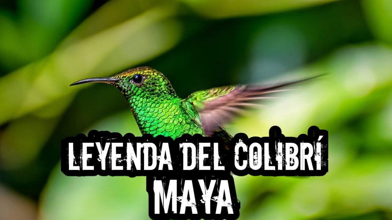 El Mensajero del más allá, La leyenda del Colibrí (MAYA) - YouTube