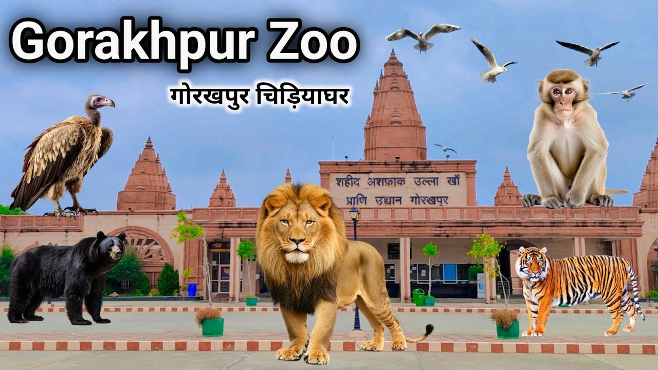 Shaheed Ashfaq Ullah Khan Zoological Park | Gorakhpur Zoo | Gorakhpur ...