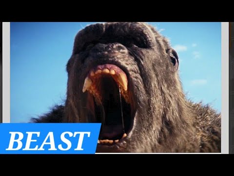 King Kong - beast mode activated #godzillabattleline 🐵🦍 - YouTube