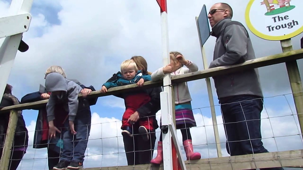 Pennywell Pig Racing with our world famous Micro Pigs - YouTube