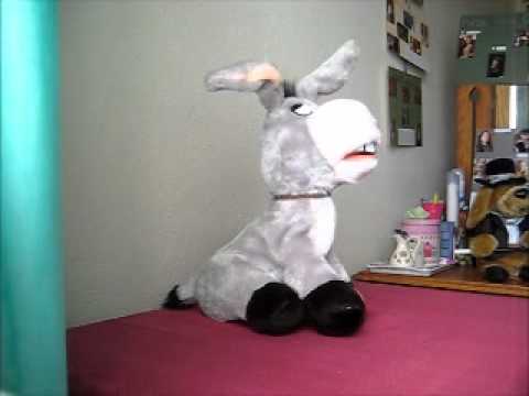 Singing Donkey - YouTube
