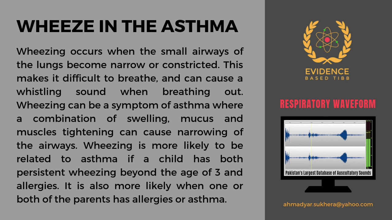 WHEEZE IN ASTHMA | PULMONARY SOUNDS | PROJECT CPAT | DOCTOR SUKHERA ...