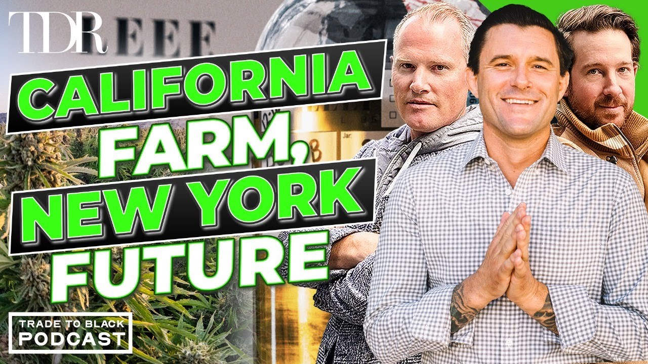 Can CA + NY Make LEEF Brands a Breakout Name? | Trade to Black - YouTube