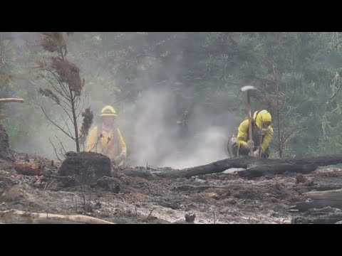 Lee Falls Fire evacuations still in place as wildfire near Henry Hagg ...