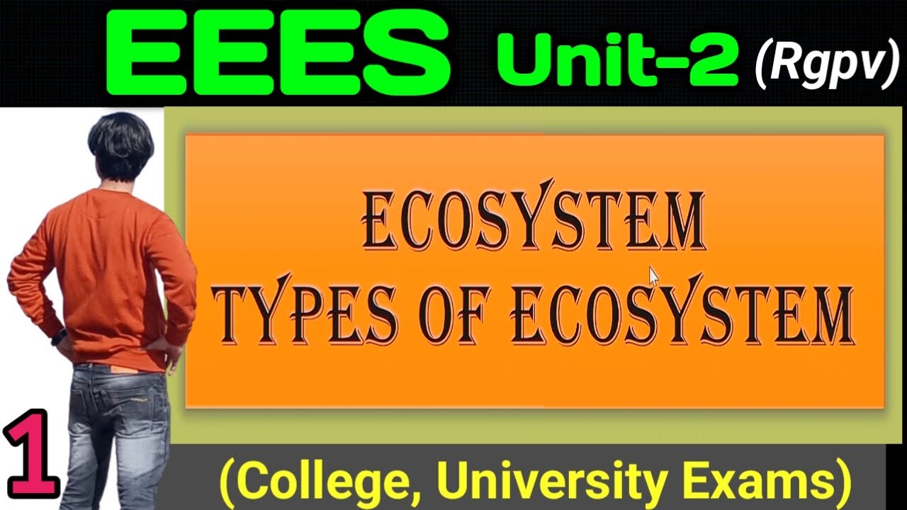 Ecosystem and Types of ecosystem | environment EEES unit 2 rgpv | evs ...