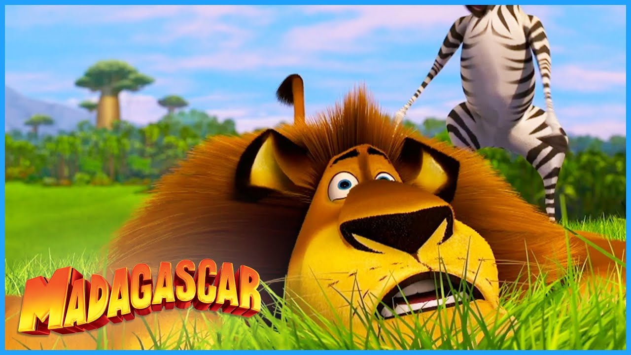 Discovering the Wild | DreamWorks Madagascar - YouTube