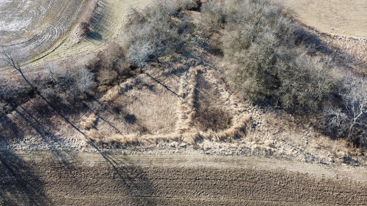 How To Establish A Switchgrass Screen - 2023 Habitat Plans - YouTube