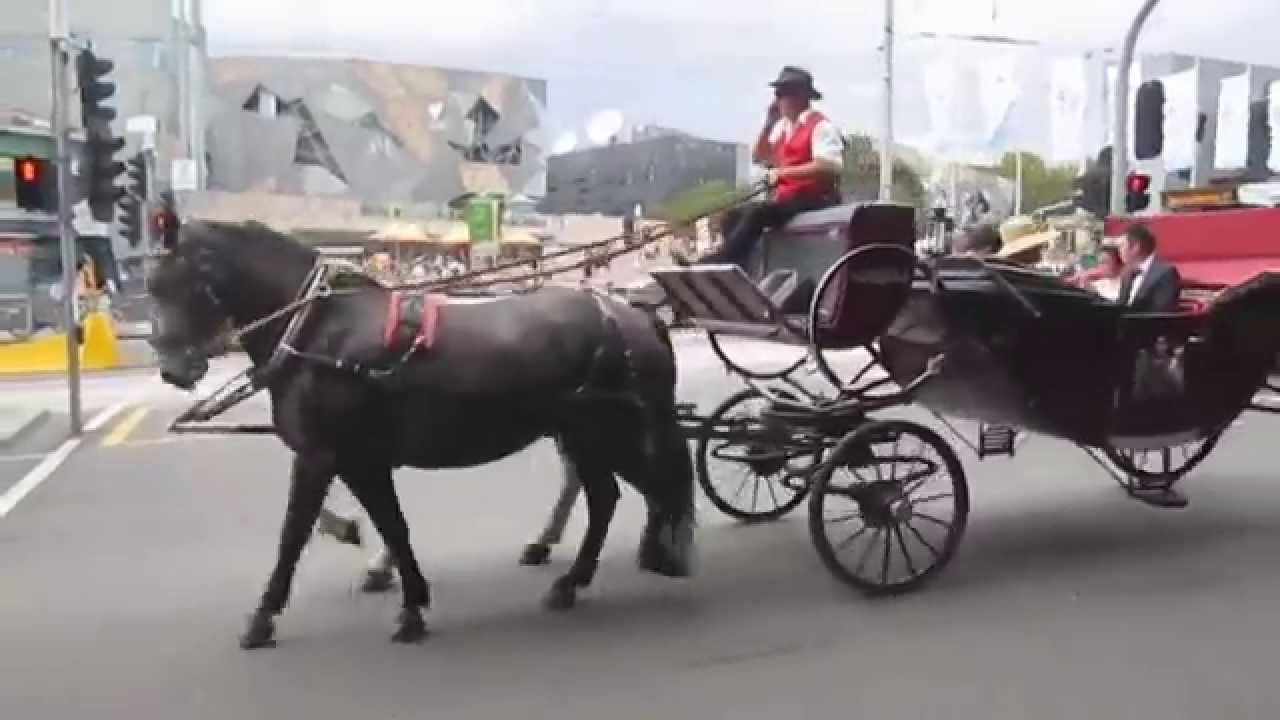 ΑΛΟΓΑ ΚΑΙ Η ΑΜΑΞΑ: Μελβούρνη x264 - YouTube