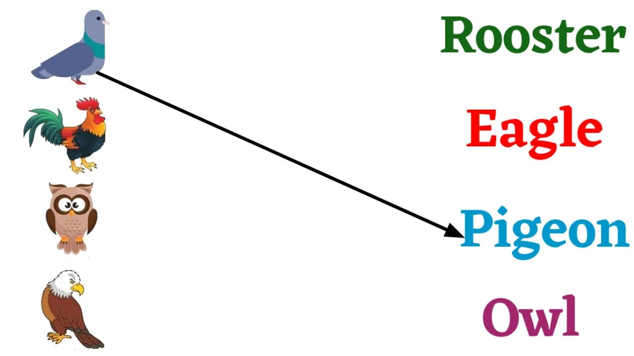 Birds Name| Birds Name Worksheet For Kids | Class Lkg, UKG EVS ...