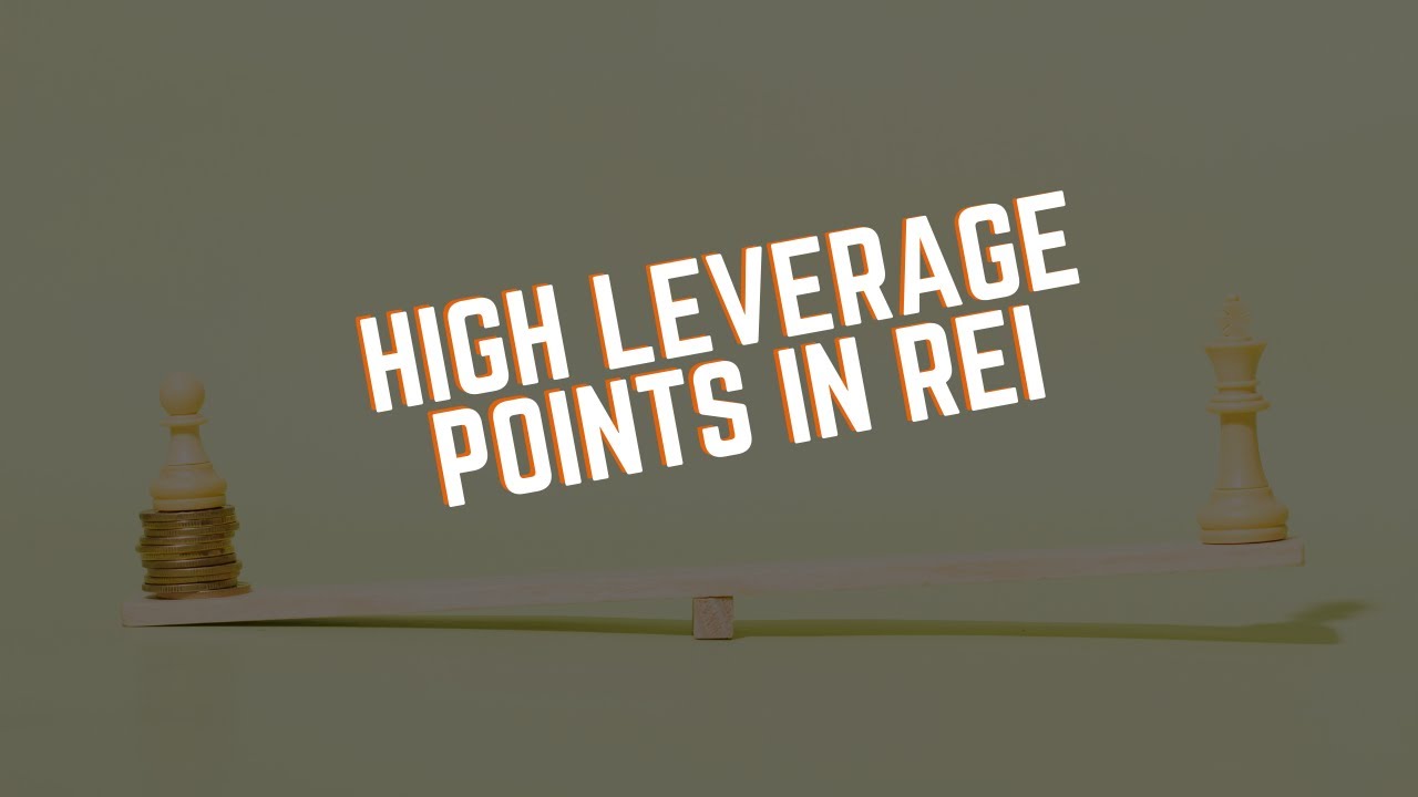 High Leverage Points in REI - YouTube