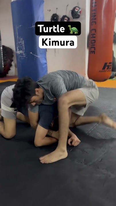 Kimura from turtle | #bjj #jiujitsu #mma #selfdefense #grappling #brazilianjiujitsu #kimura # ...