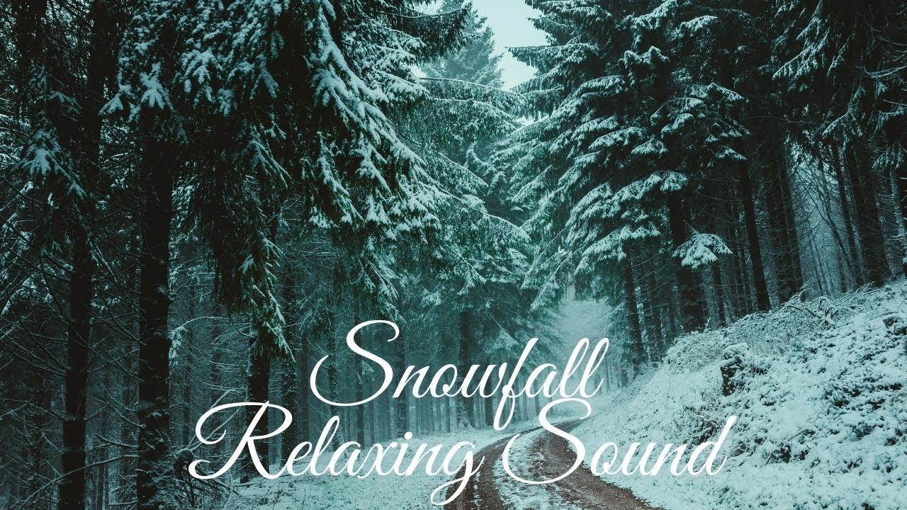 1 Hour Snowfall Relaxation Music For Stress Relief Heavy Snow Falling ...