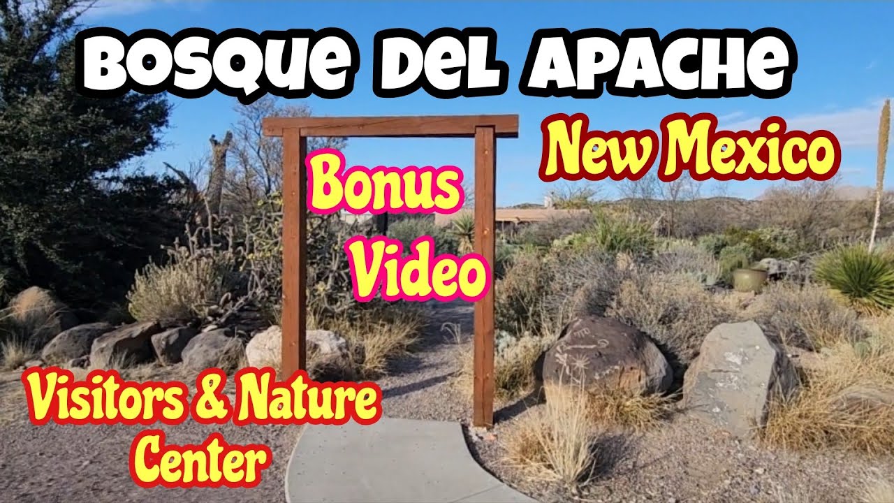 Bonus - Bosque Del Apache Nature Walk and Visitor's Center & Gift Shop ...