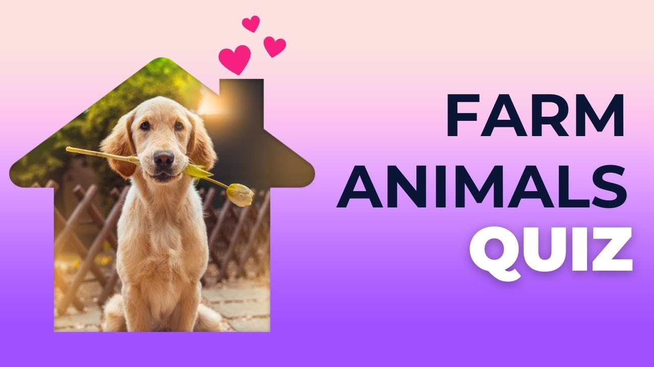ANIMAL TRIVIA QUIZ | Animals Knowledge Trivia Questions and Answers ...