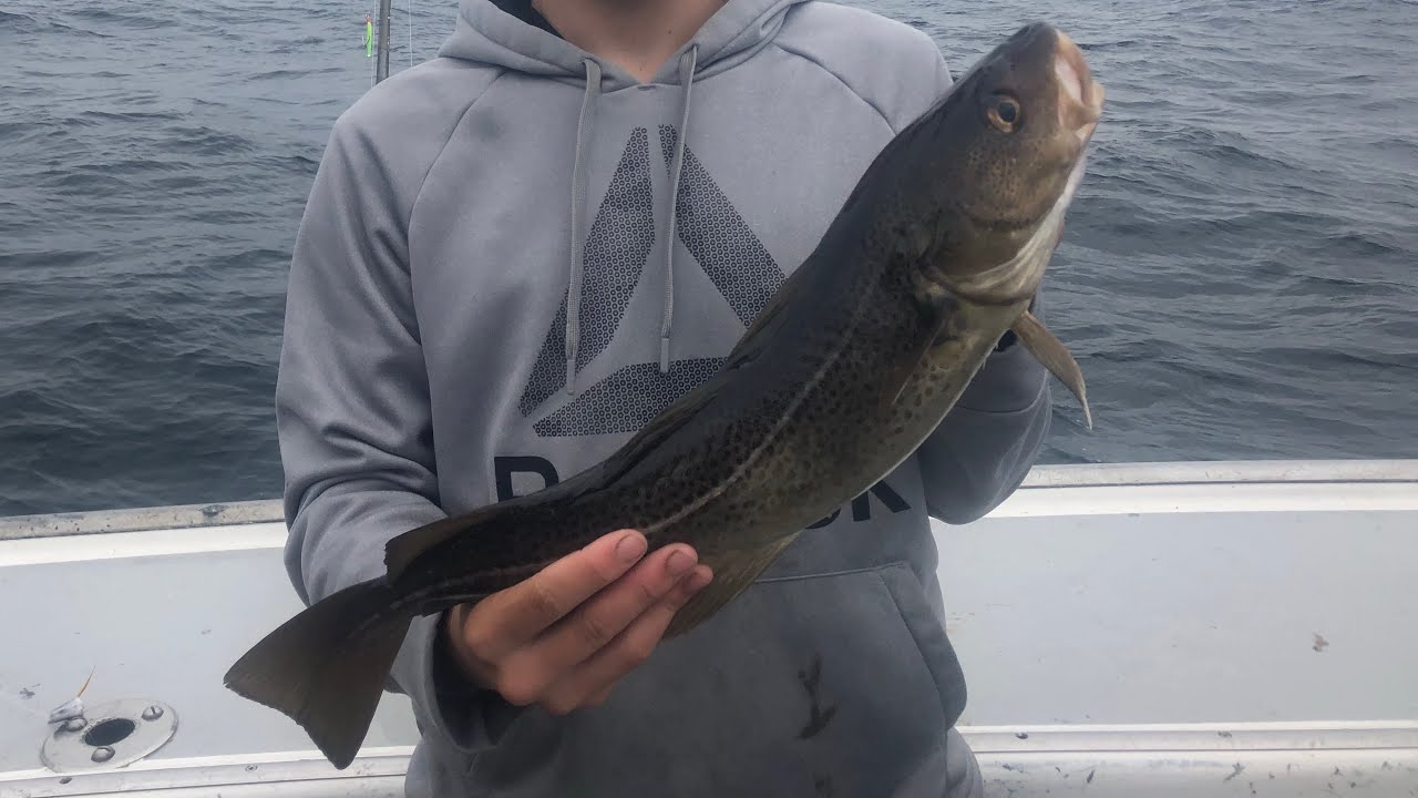 Deep Sea Fishing Canada! - Cod, Pollock and Mackerel - YouTube